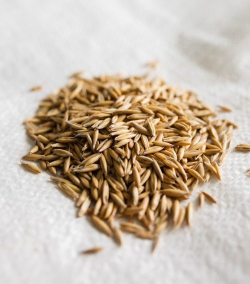 Whole Oats | Unger Feeds